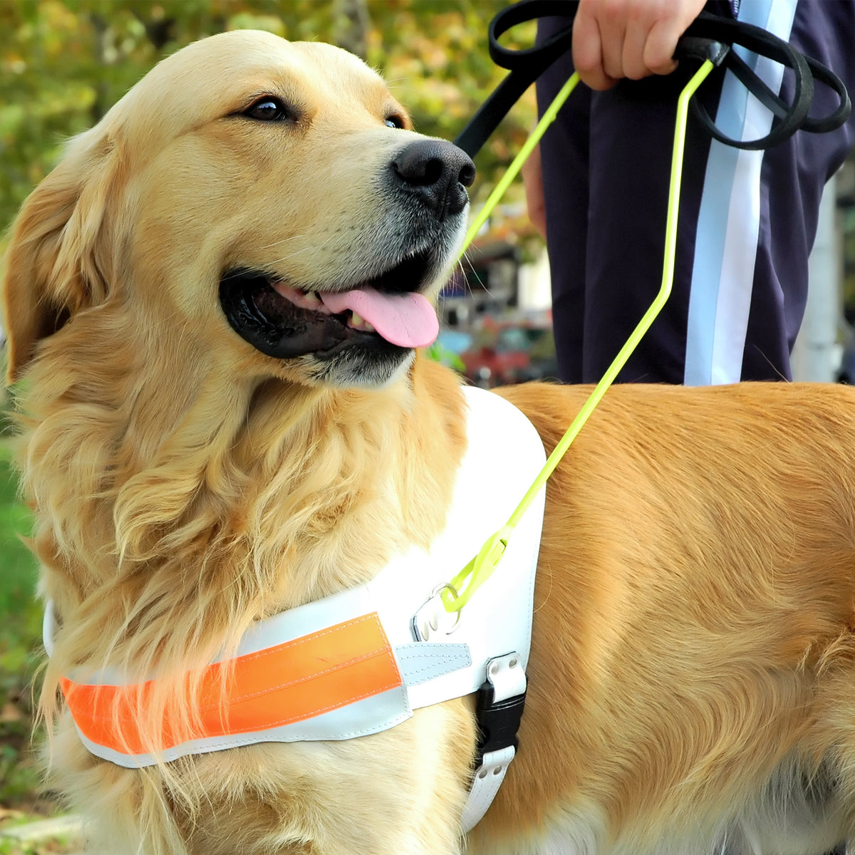 Assistance Animals & Multifamily | Online Learning | Visto Courses